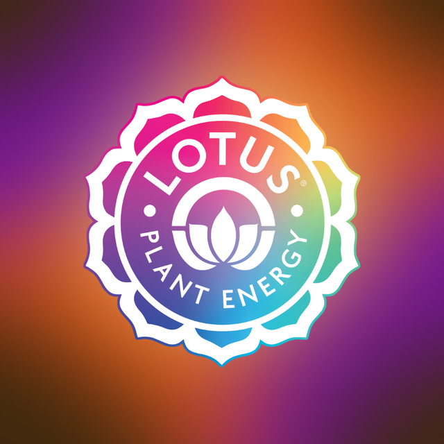 Lotus Energy Drinks served in Harford County, Maryland | Screaming Bean